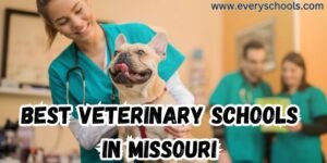15 Best Veterinary Schools In Missouri 2024 - Every Schools